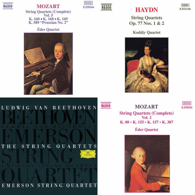 WCT String Quartets - playlist by Tom Pankhurst | Spotify