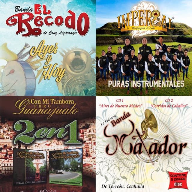 Musica Instrumental de Banda - playlist by Juan Villasenor | Spotify