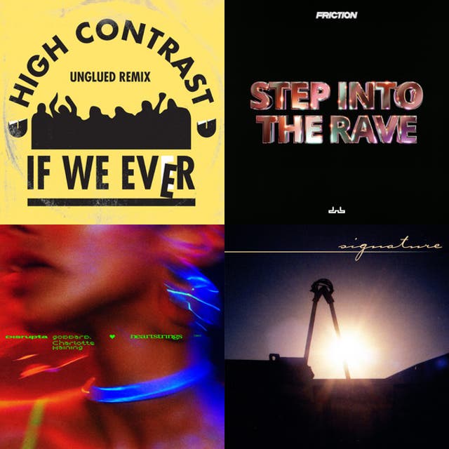 Top artists of Liquid Funk music genre - Chosic