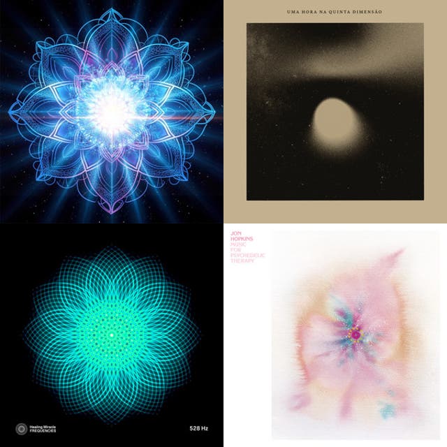 MYCELIAL MOTHER - playlist by Collette Davis | Spotify