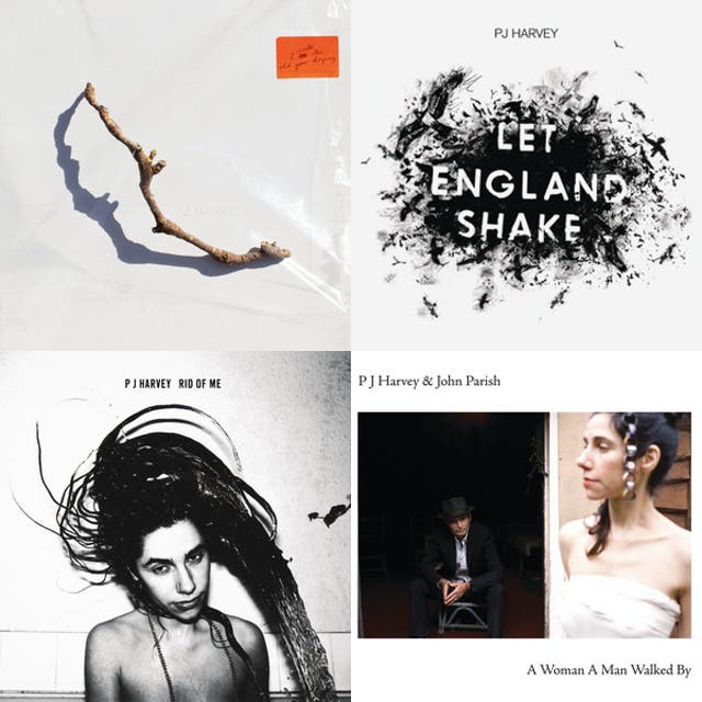 PJ Harvey 2025 Setlist - playlist by Jon Ashman | Spotify
