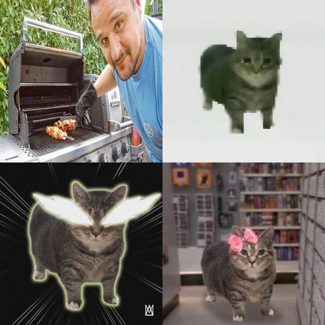 Uia cat - playlist by 🎧@ ⁠~⁠♪Abį☆人⁠ 🎮 | Spotify