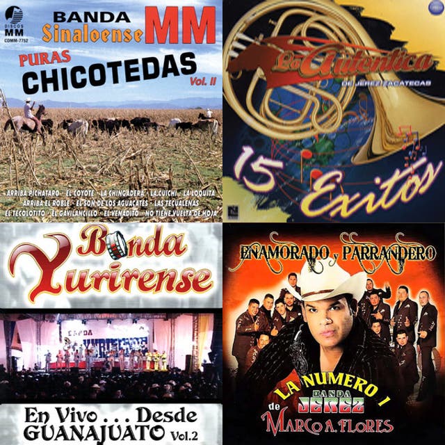 Top artists of Tamborazo music genre - Chosic