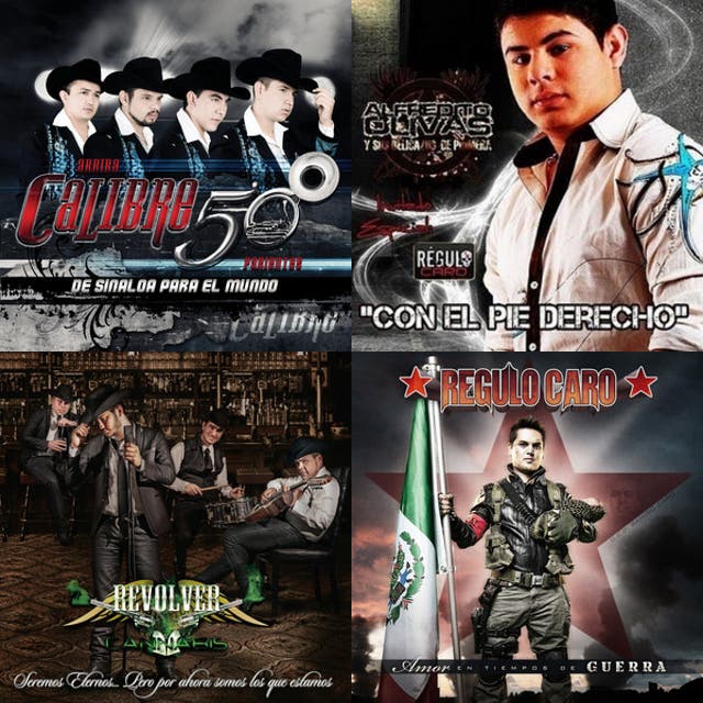 PUROS CORRIDOS PROGRESIVOS Y MOVIMIENTO ALTERADO ARREMANGADO Y ...
