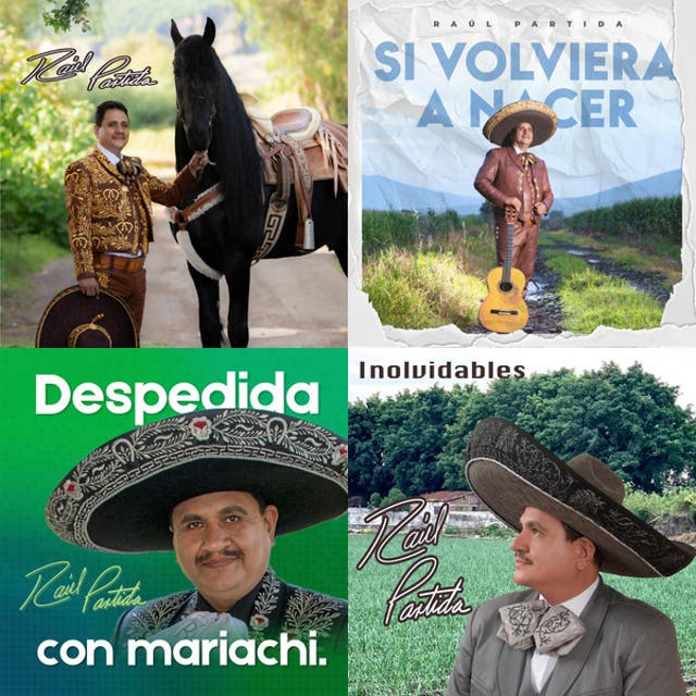 ÉXITOS RAÚL PARTIDA - playlist by Gallardo | Spotify