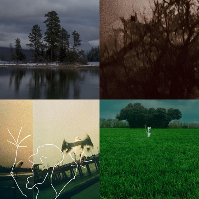 looking at trees - playlist by soner | Spotify