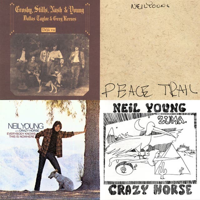 Danger Bird – Neil Young - playlist by ldrlalwaysrocknroll123 | Spotify