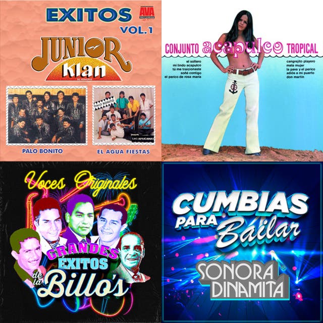 Top artists of Tropical Music music genre - Chosic