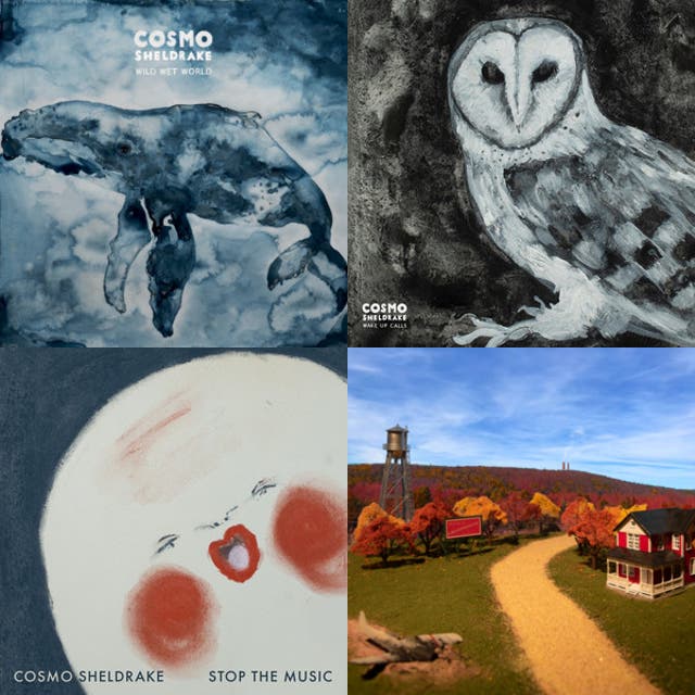 Similar songs to Does The Swallow Dream Of Flying (Chosic) - playlist ...