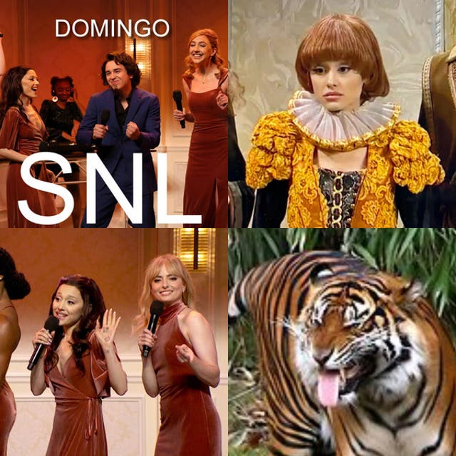 Domingo - SNL - playlist by beth ☆ | Spotify