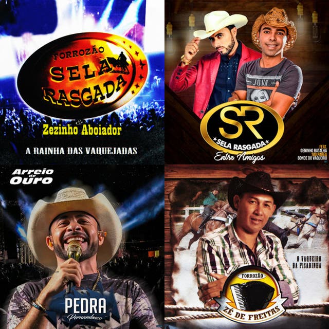 Lua de Prata - Vaquejadas - playlist by Ygor Cardoso | Spotify