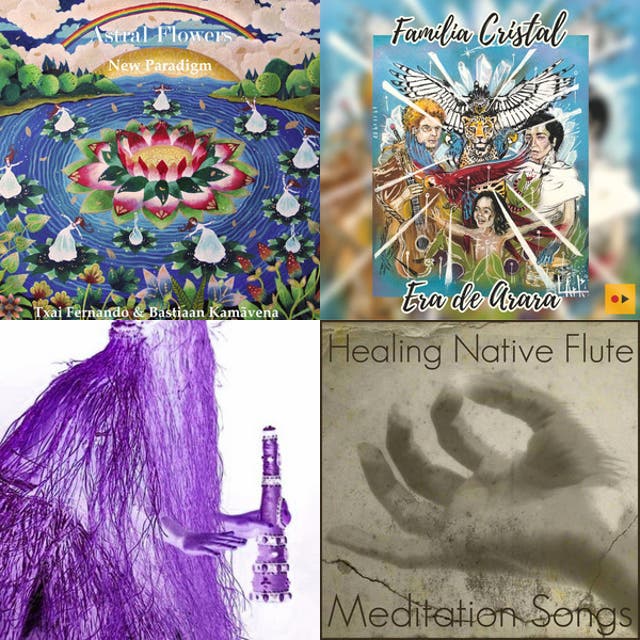 Banho de floresta - playlist by Monica Salim Damazo | Spotify