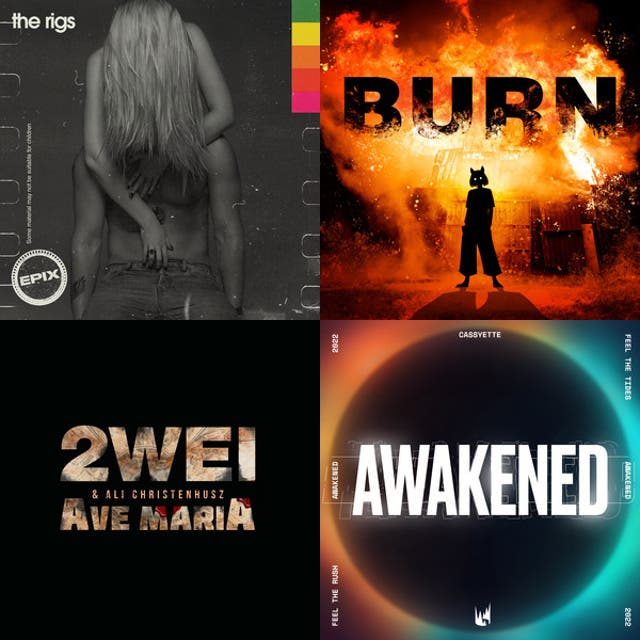 Moodify: 2WEI, Edda Hayes - Burn - playlist by turon | Spotify