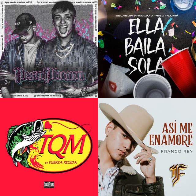 ASÍ ME ENAMORÉ - Franco Rey - playlist by Regional Mexicano MX 2. | Spotify