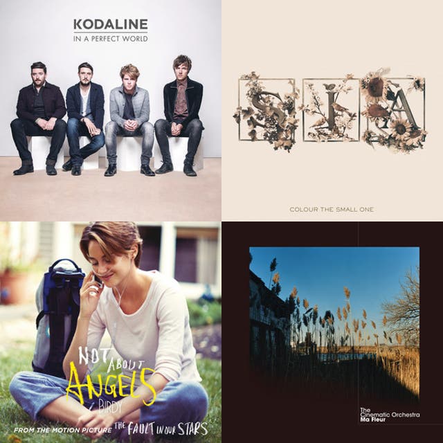 really sad/depressing songs - playlist by abbeycarlucci123 | Spotify