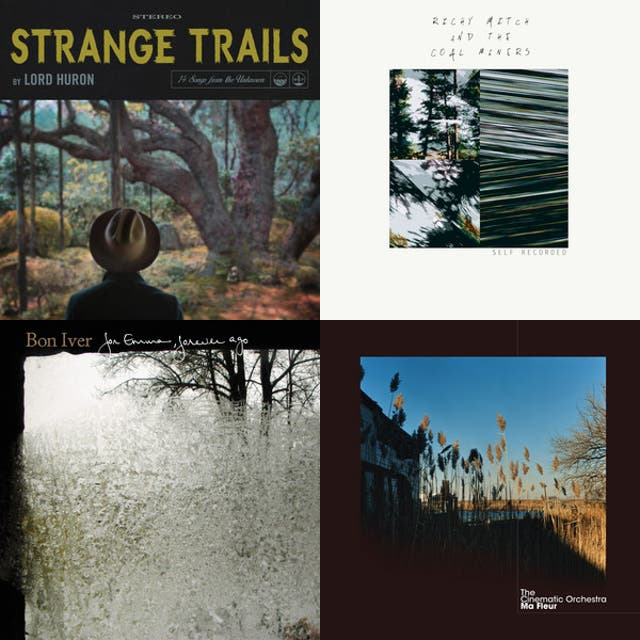 songs like evergreen - playlist by Lucas | Spotify
