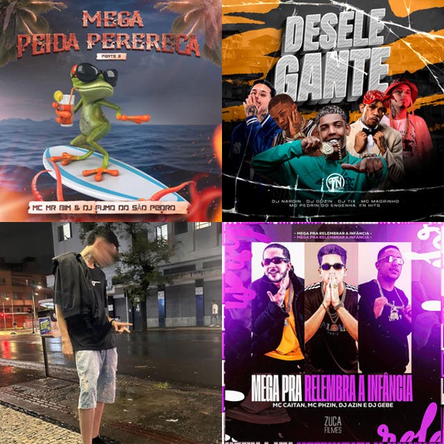 Vou botar só um pedacin - playlist by @BHDOSMTG | Spotify