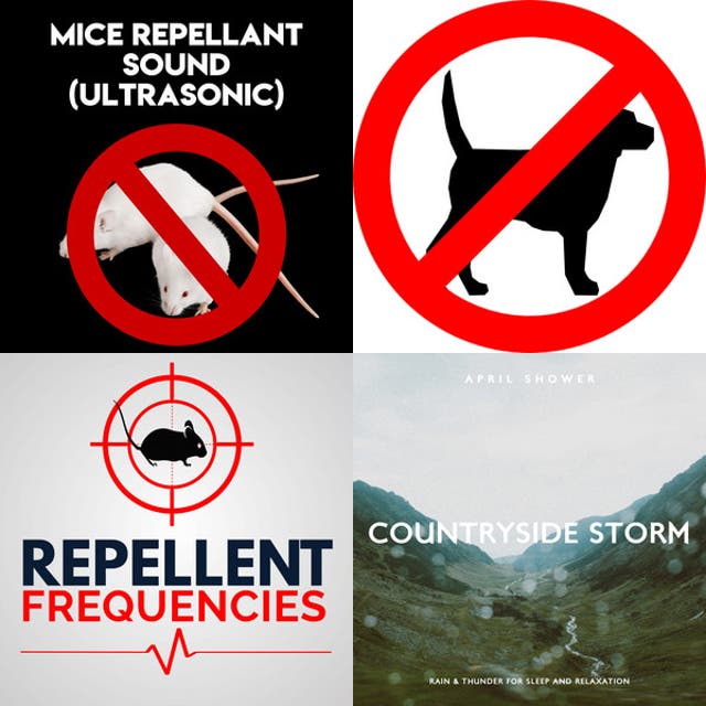 Best Anti Mice/rat Sound Repellent - playlist by Arnold | Spotify
