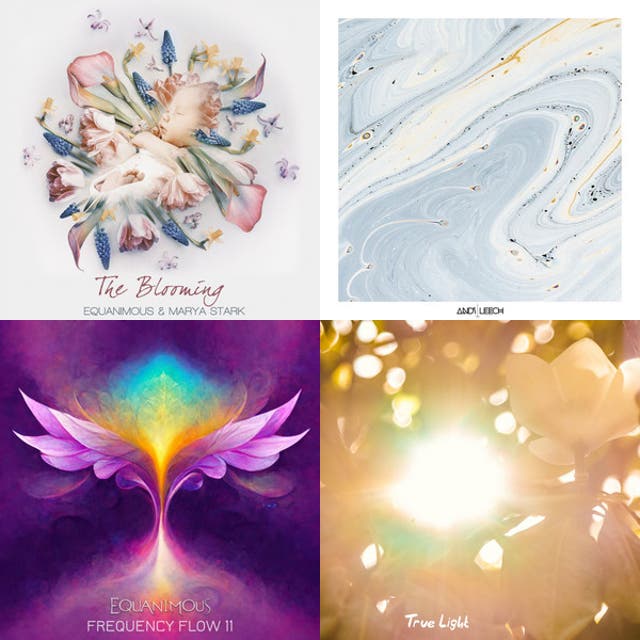 Connection Membership - playlist by stacey-webb | Spotify