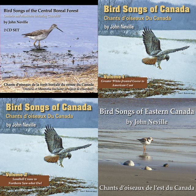 Bird Songs Ornithology - playlist by Sidney Noble | Spotify