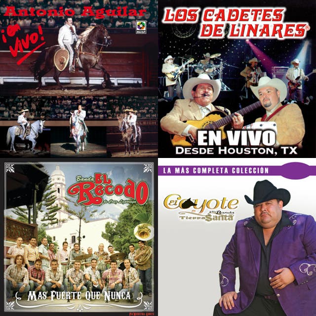 Dos Vicios Tengo En La Vida 🔫 - playlist by anita_cr712 | Spotify