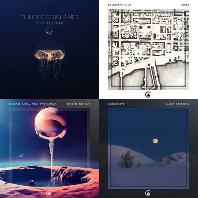 Top artists of Organic Ambient music genre - Chosic