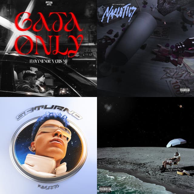 gatita michu michu💗 - playlist by alexa 😜 | Spotify