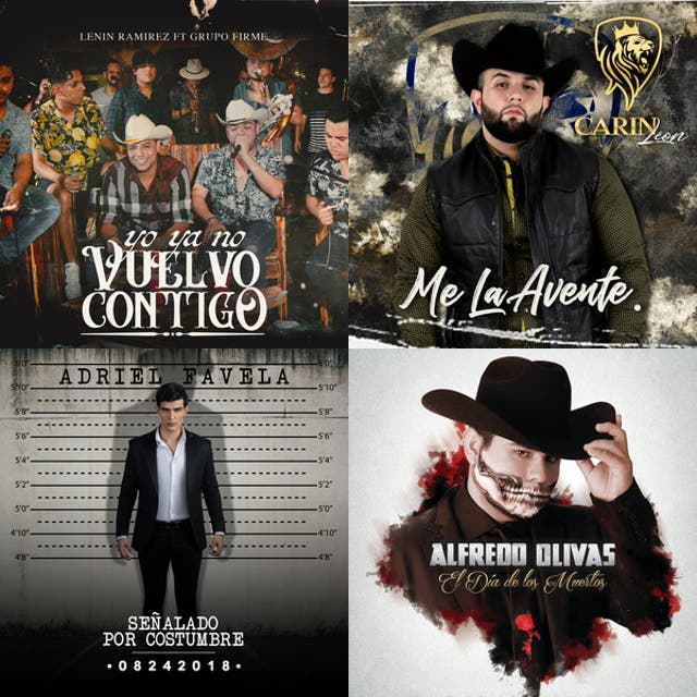 Corridos para tomar🍺🍺🍺🍺 - playlist by Raulmariasotoj | Spotify