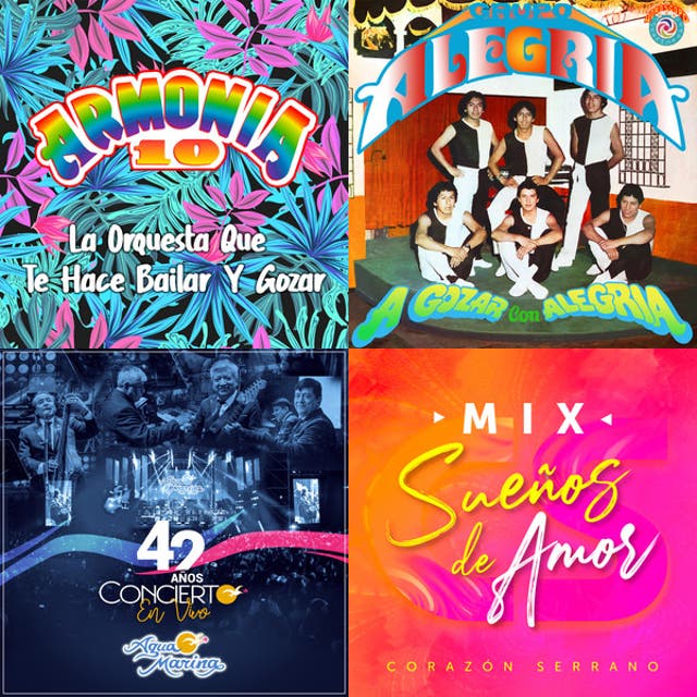 CUMBIAS PERUANAS VARIADAS - playlist by Edu | Spotify