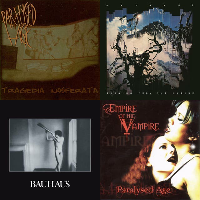 intro to gothic music - playlist by Bats | Spotify