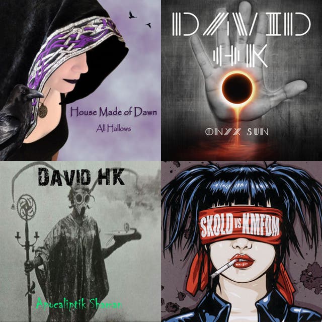 Dark Industrial Metal EBM Gothic Electro - playlist by stanleycupsean ...