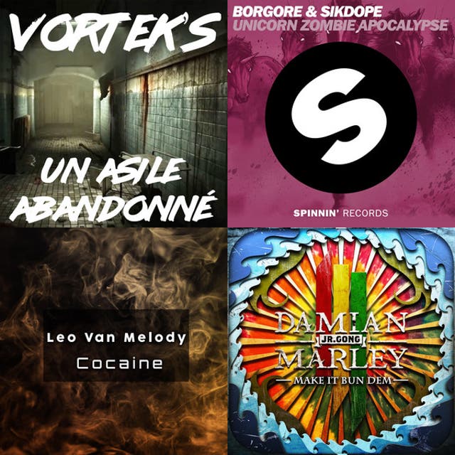 Hardcore , acid , techno , trance , Psytrance, tribe , frenchcore ...