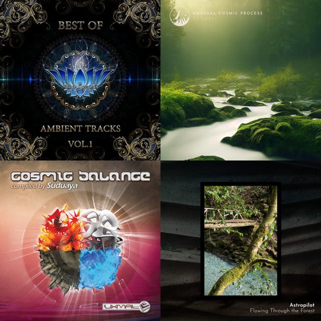 Top artists of Ambient Psychill music genre - Chosic