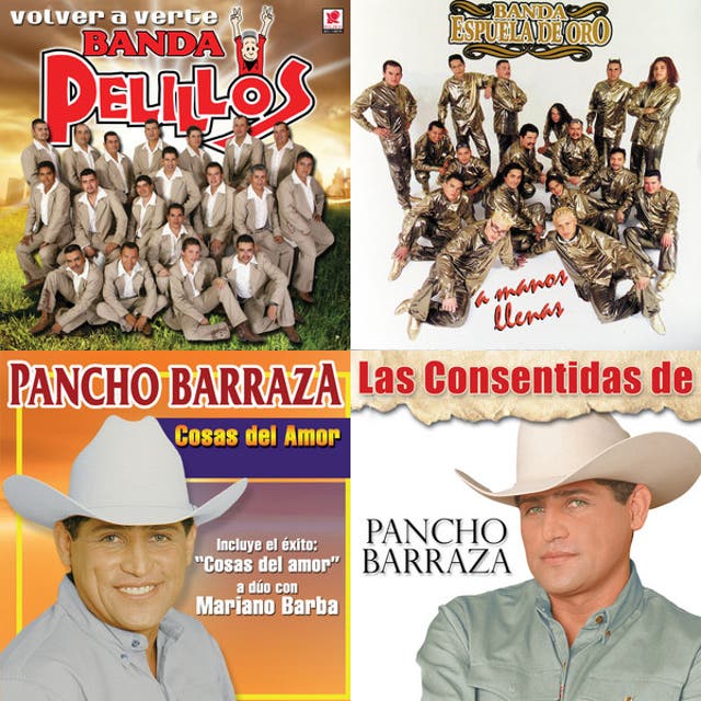 Bandas biejitas pero bonitas - playlist by Andres Carranza | Spotify