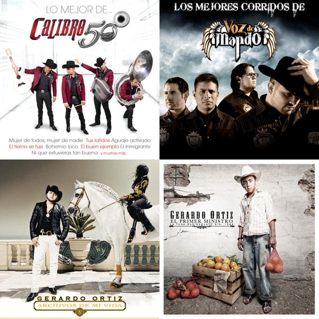 🇲🇽The best Corridos - playlist by gomez | Spotify