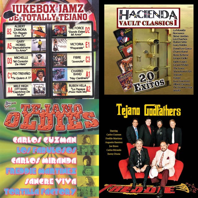 Carlos Guzman/Tejano - playlist by unknown | Spotify