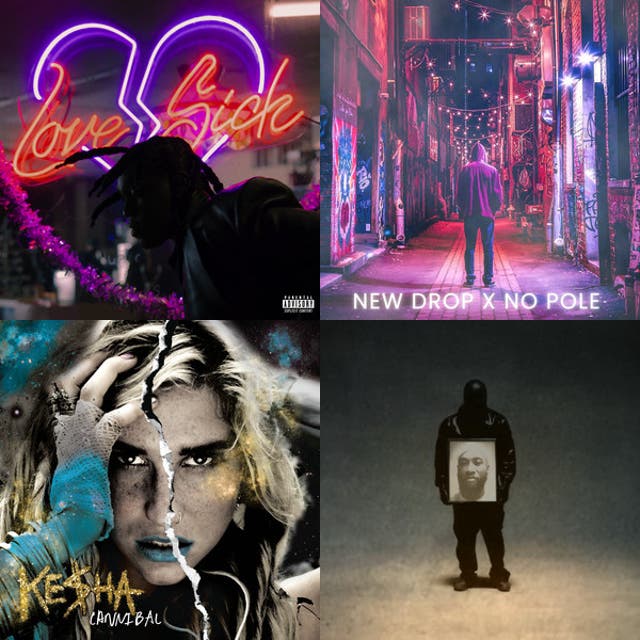 No pole remixes - playlist by gio2327 | Spotify