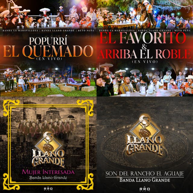 Banda llano grande - playlist by Efraín Zepeda Panduro | Spotify