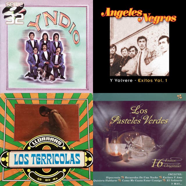 Los Terricolas, Los Brios, Yndio, Los Bukis, Los Pasteles Verdes , etc ...