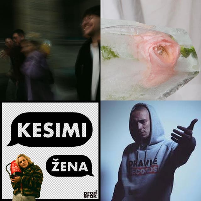SLOVENIAN RAP - playlist by TopiVEVO | Spotify