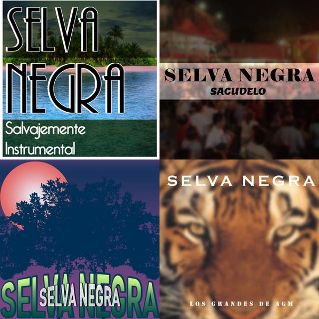 GRUPO SELVA NEGRA - playlist by i_cerva | Spotify