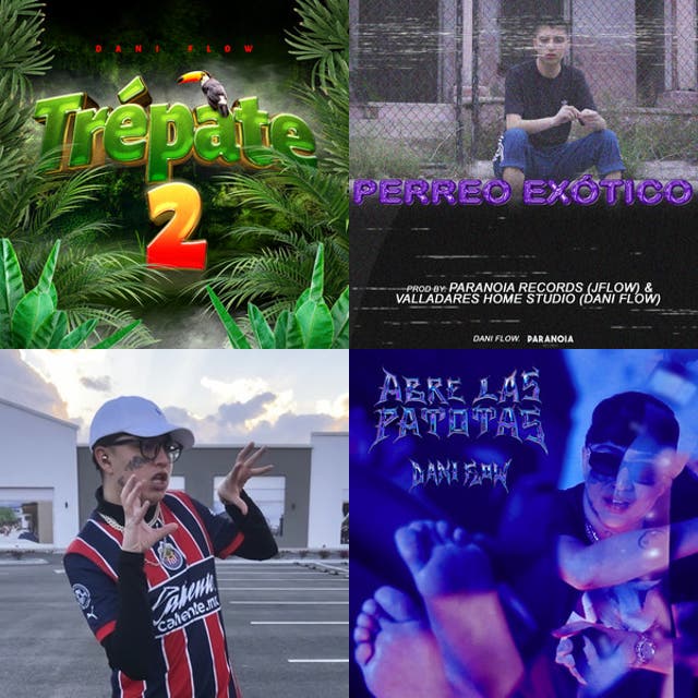 Dani flow - playlist by Naiky Jiménez | Spotify