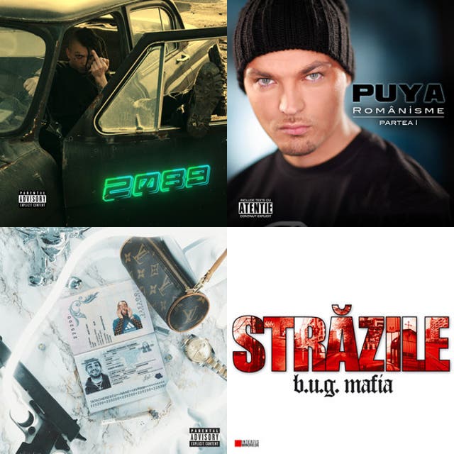 Top artists of Romanian Rap music genre - Chosic