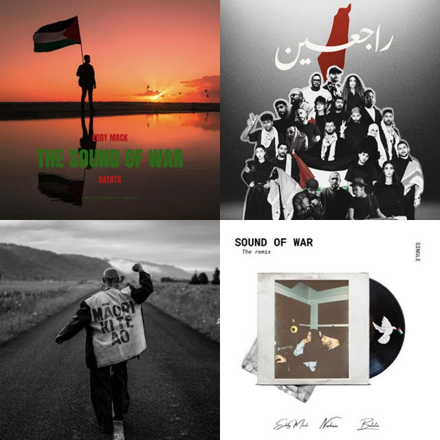 artists who support palestine - playlist by prags | Spotify