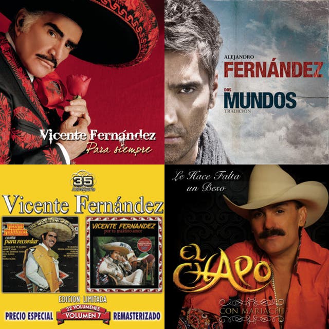 topes 🐴🤠 - playlist by Gabriel Esquivel Ching | Spotify