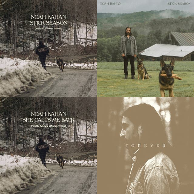 Noah and more - playlist by Adam Lanman | Spotify