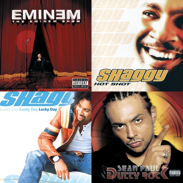 Shaggy,Eminem sean paul, nelly, usher - playlist by Jrdi | Spotify