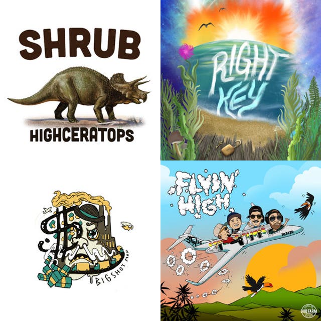Slightly Stoopid Radio - playlist by Alex Swisher | Spotify