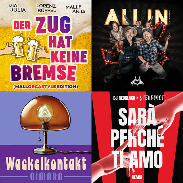 Dorffasching 2025 - playlist by Martin Nadler | Spotify