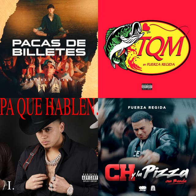 dicen que son de la gente del señor chapo guzman - playlist by abi ...